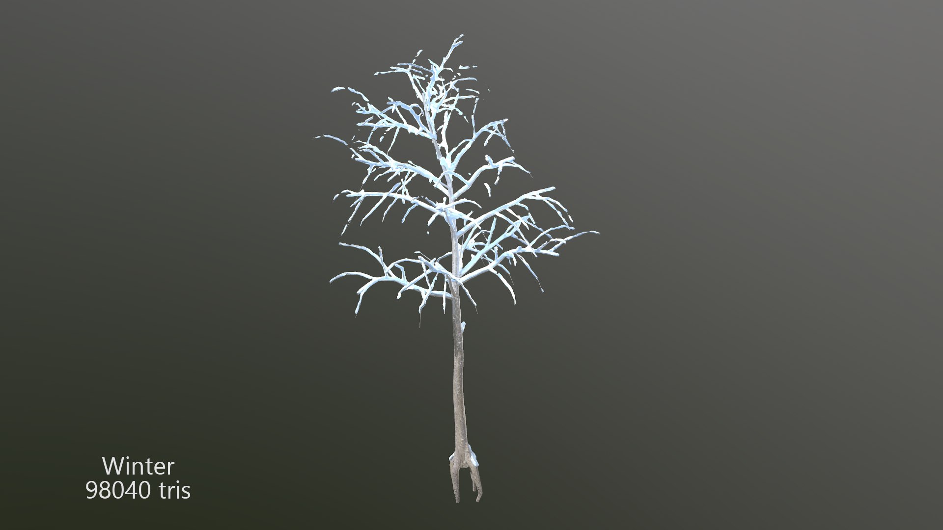 3D Model Aspen Tree - - TurboSquid 1401664