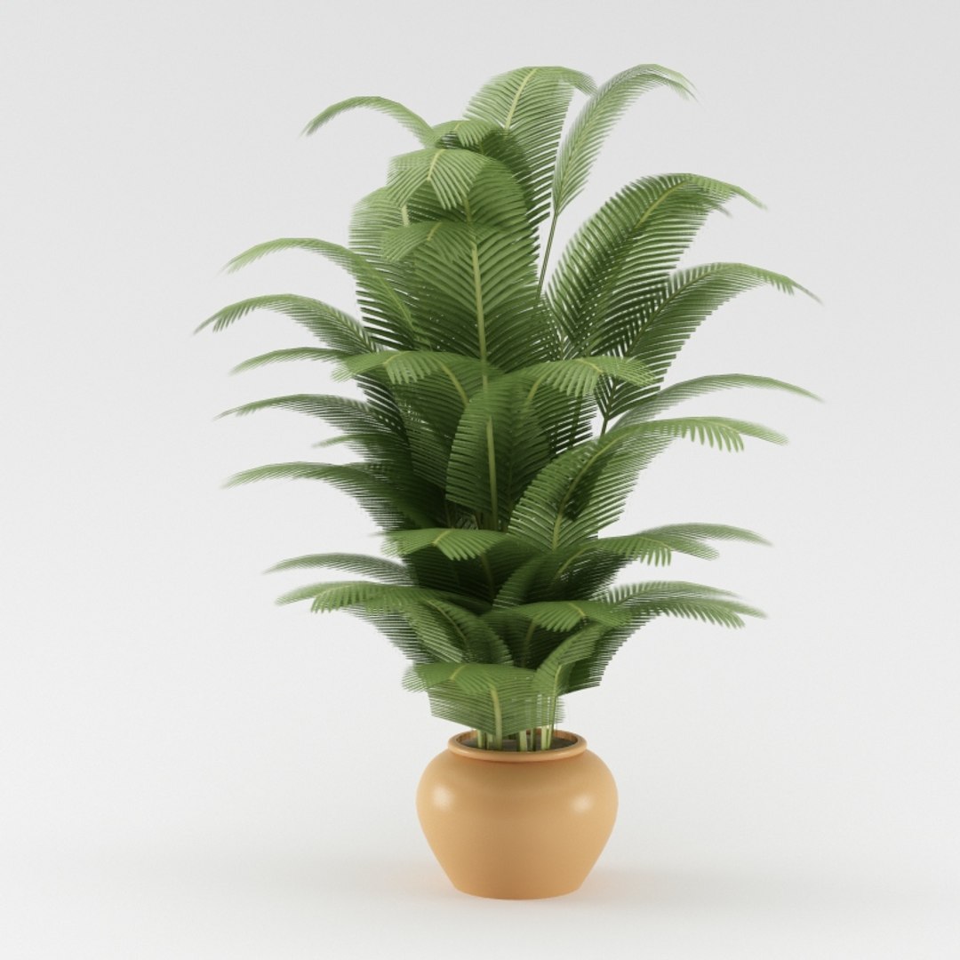 3d small plant model