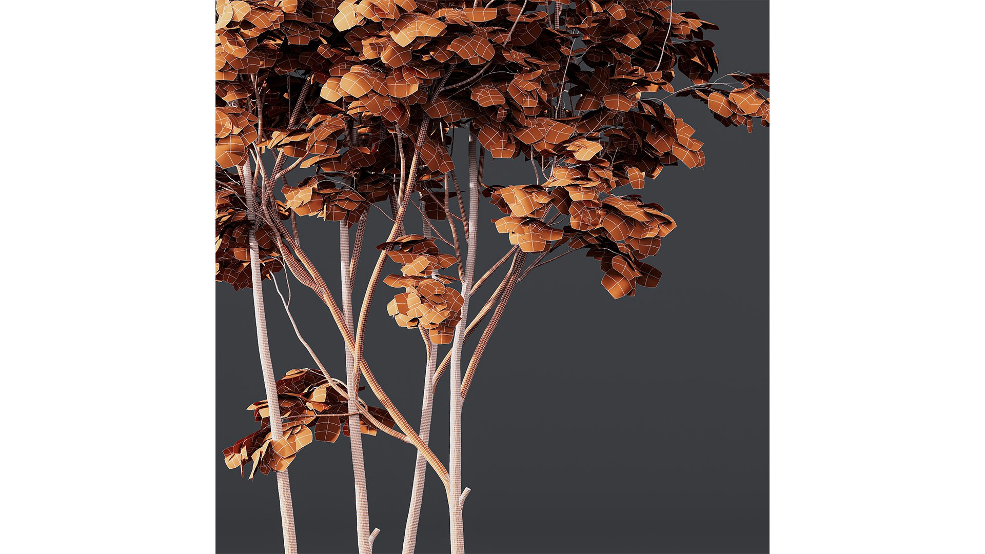 3D Model Ash Maple And Indian Bean - TurboSquid 2148724