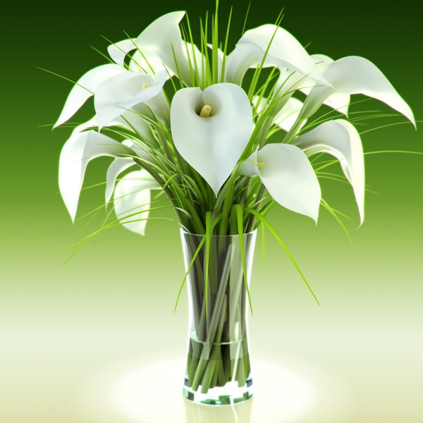 3d model realistic flowers calla lily
