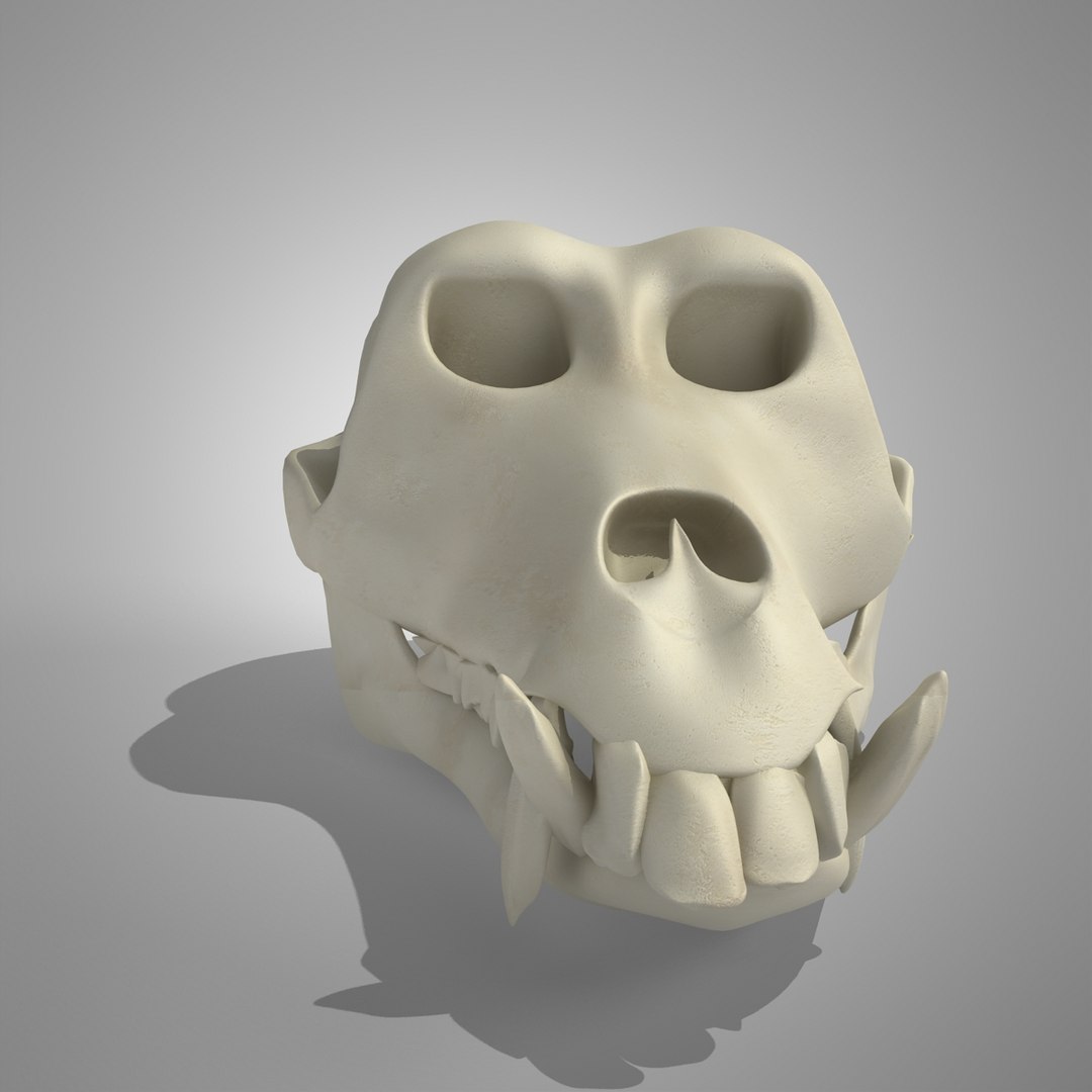 Skeleton Monkey 3d Max