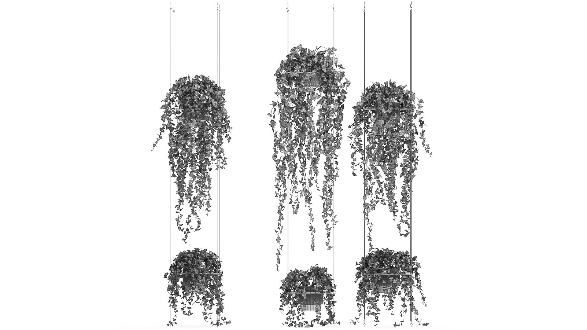 Shelf hanging on cables with ivy Hedera hanging plants 1424 3D model ...