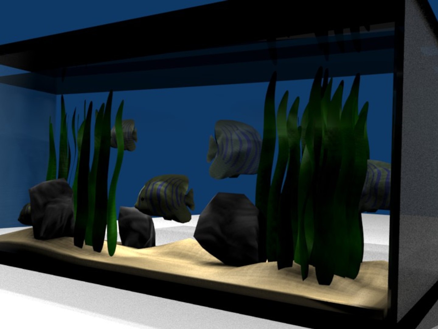 3d Aquarium Fish Aquatic Model