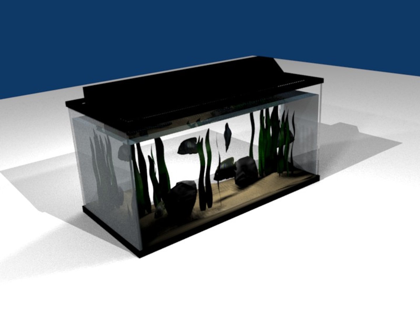 3d Aquarium Fish Aquatic Model