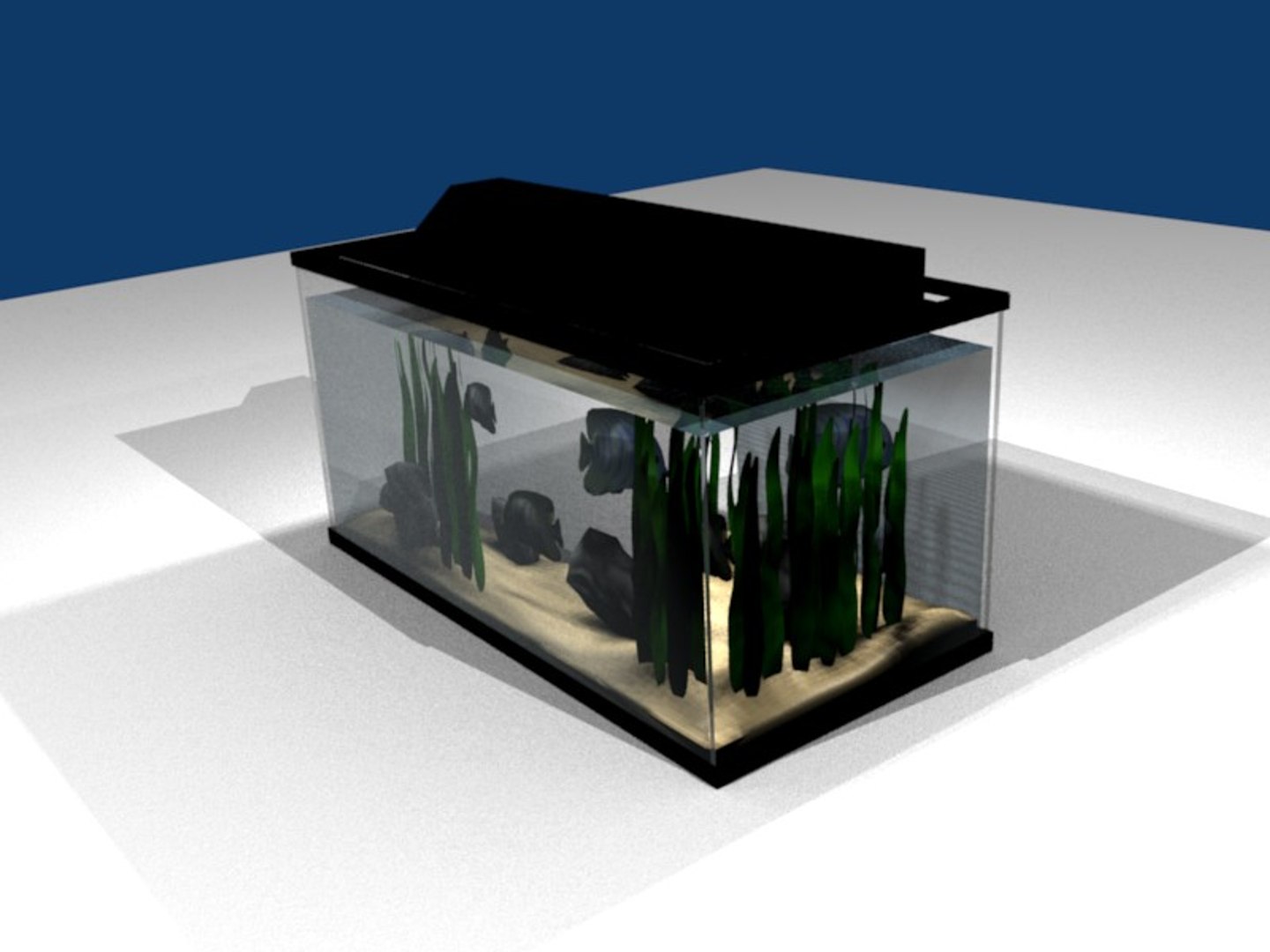 3d Aquarium Fish Aquatic Model
