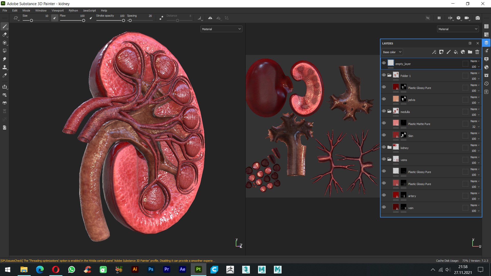 3D Model Kidney Section - TurboSquid 1820246
