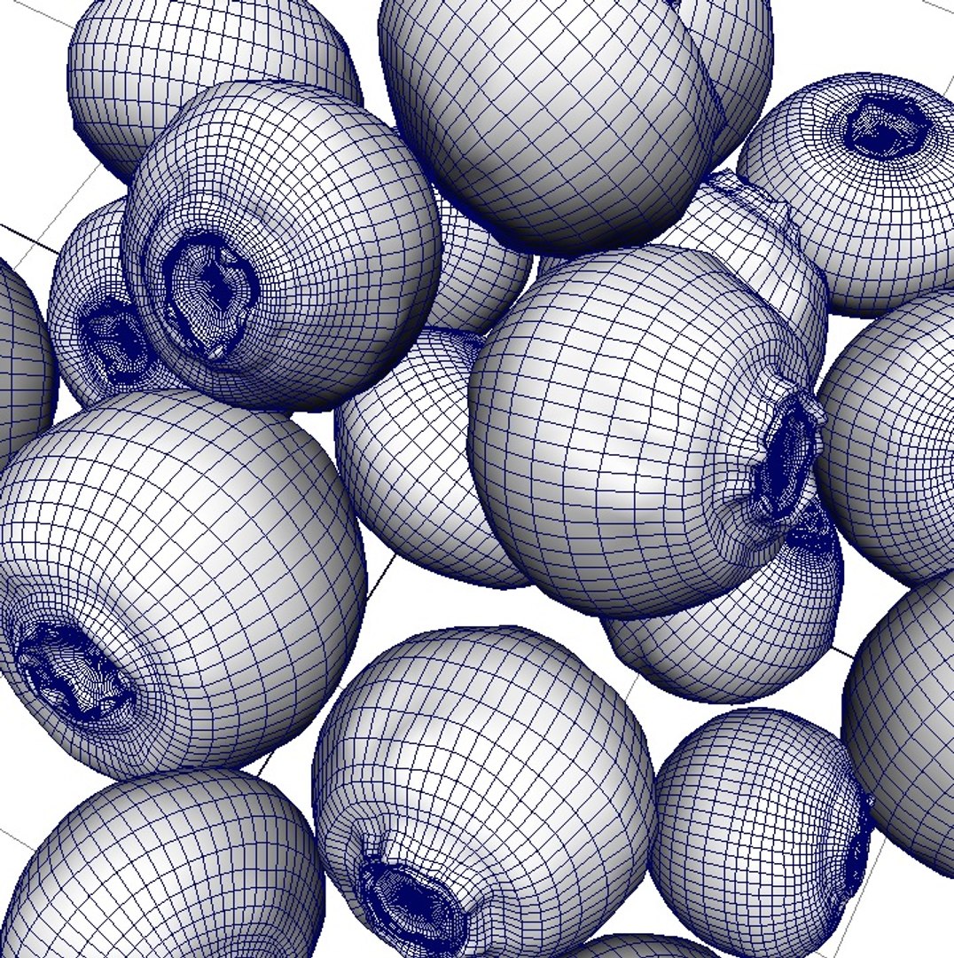 Blueberry Blue Berry 3D Model - TurboSquid 1391097