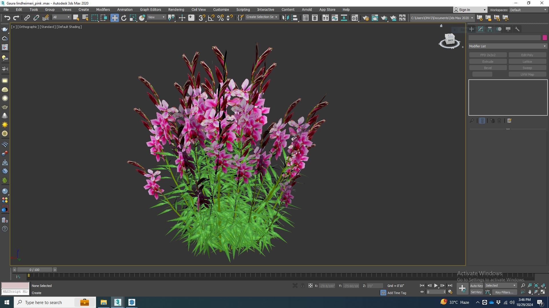 3D Gaura LindheimeriPink Model - TurboSquid 2298965