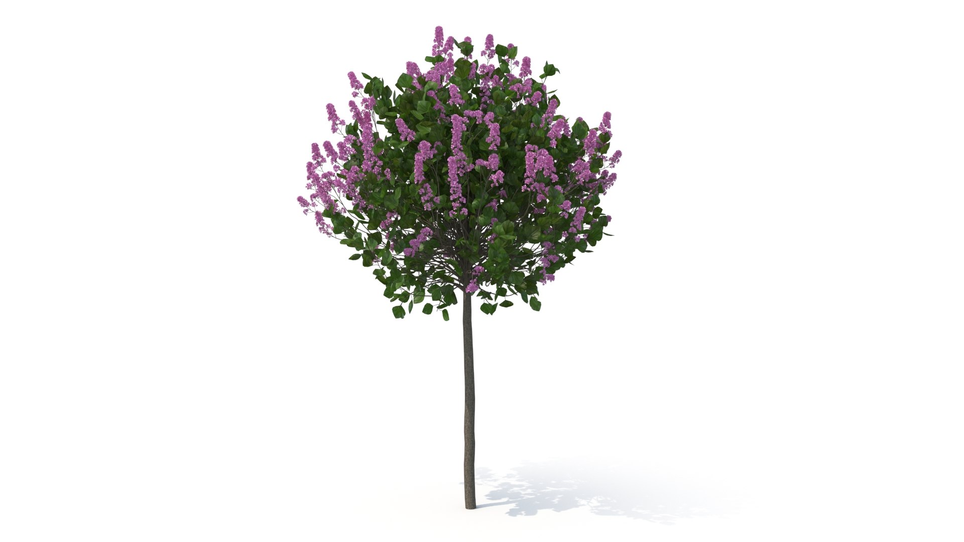 3D Trees Bush - TurboSquid 1496815