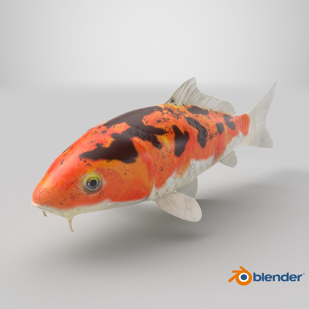 3D Model Koi Fish 2 - TurboSquid 2165616