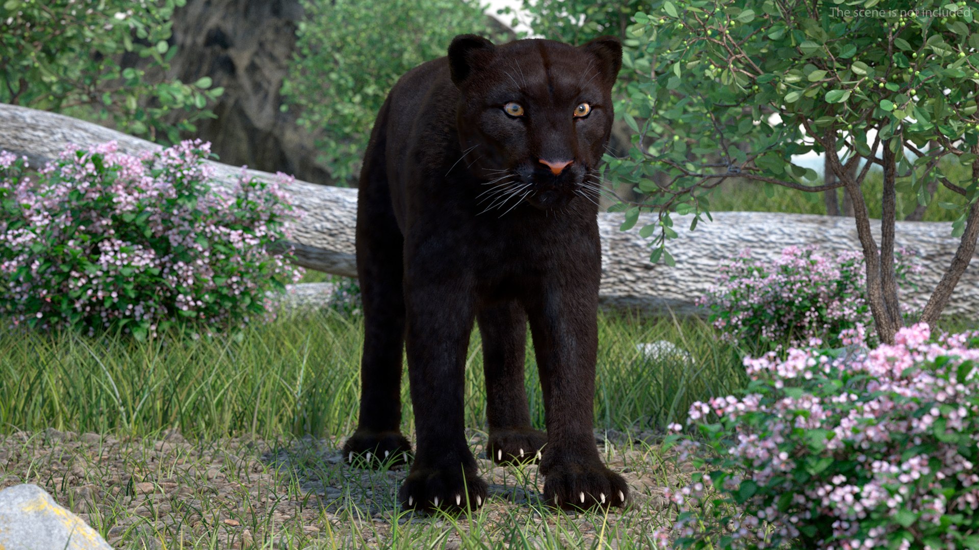 Black Panther Fur 3D Model - TurboSquid 2209639