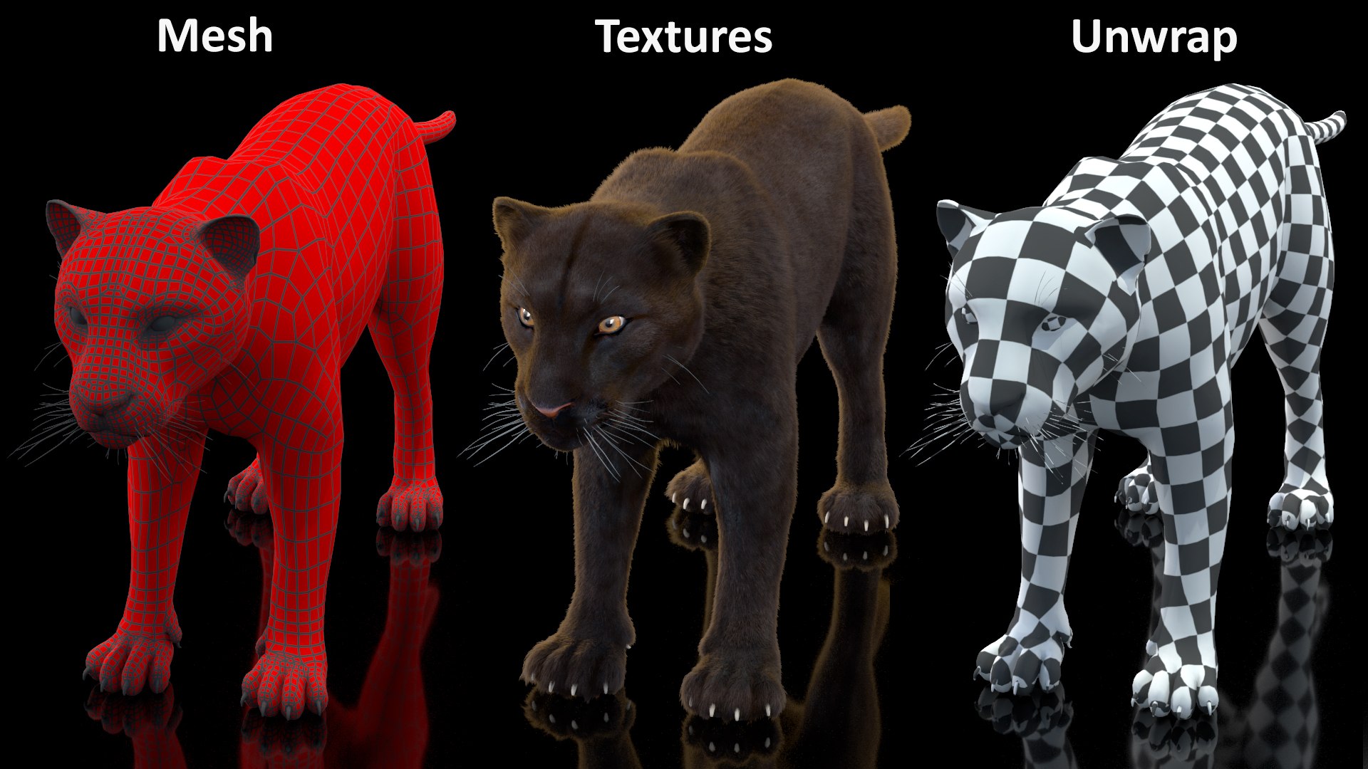 Black Panther Fur 3D Model - TurboSquid 2209639