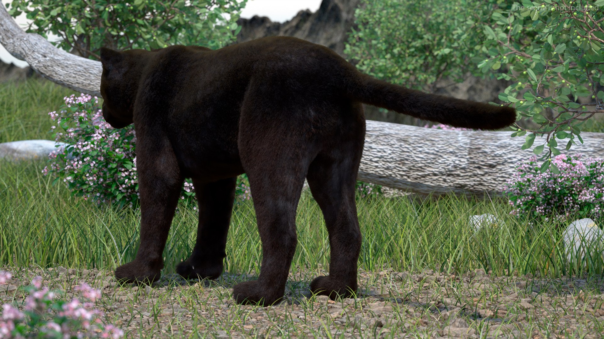 Black Panther Fur 3D Model - TurboSquid 2209639