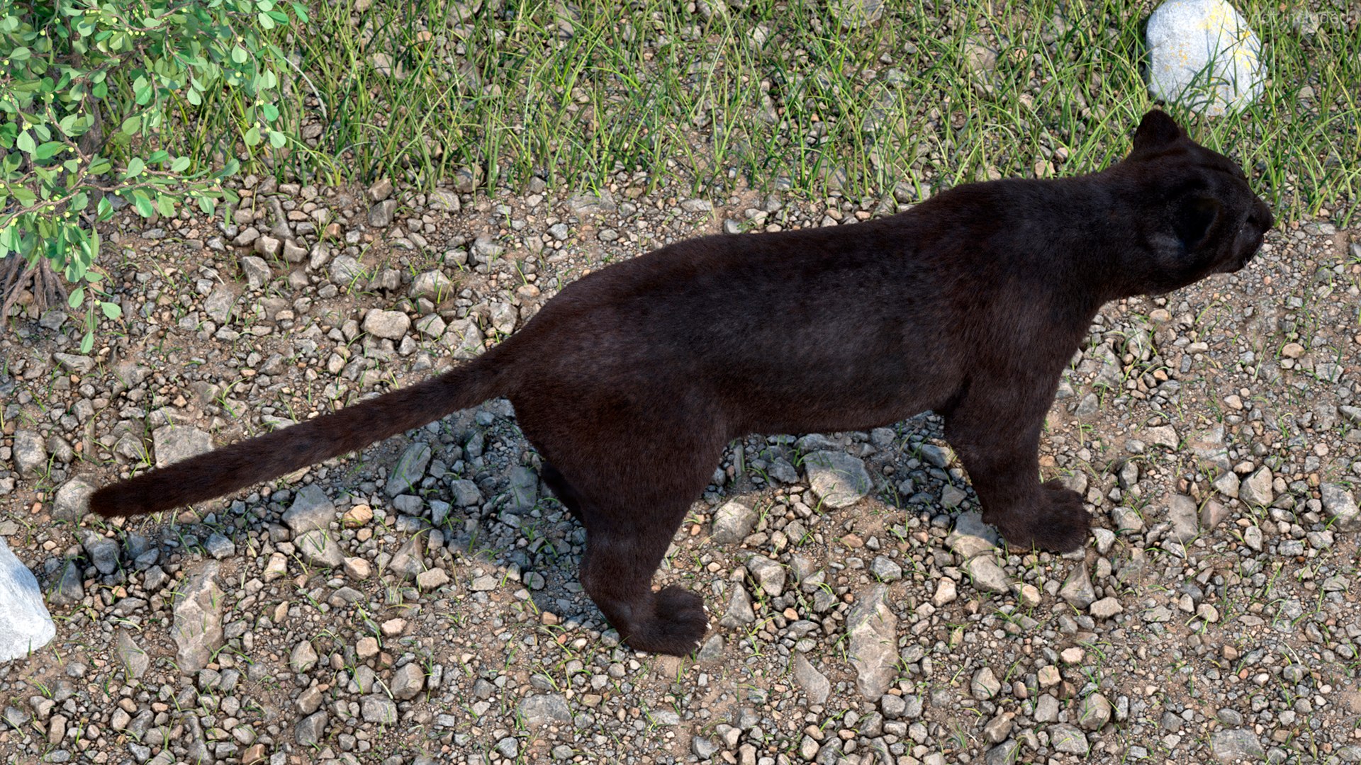 Black Panther Fur 3D Model - TurboSquid 2209639