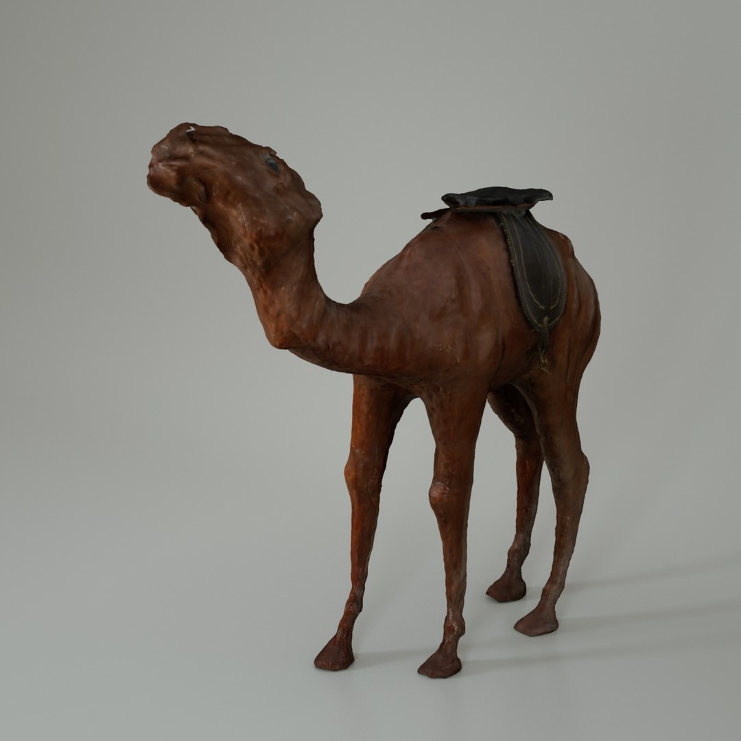 Camel Scan 3d C4d