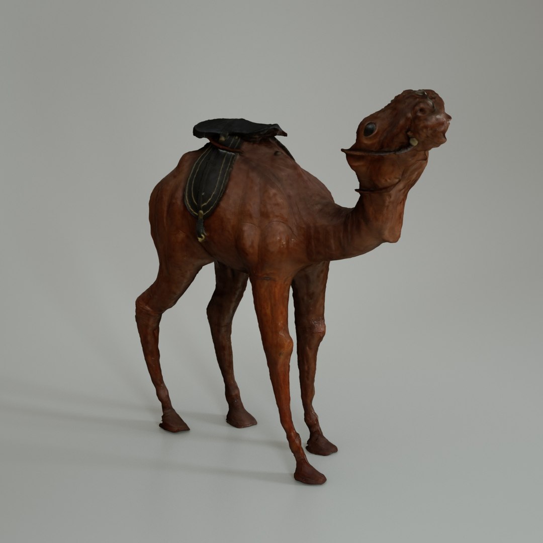 Camel Scan 3d C4d