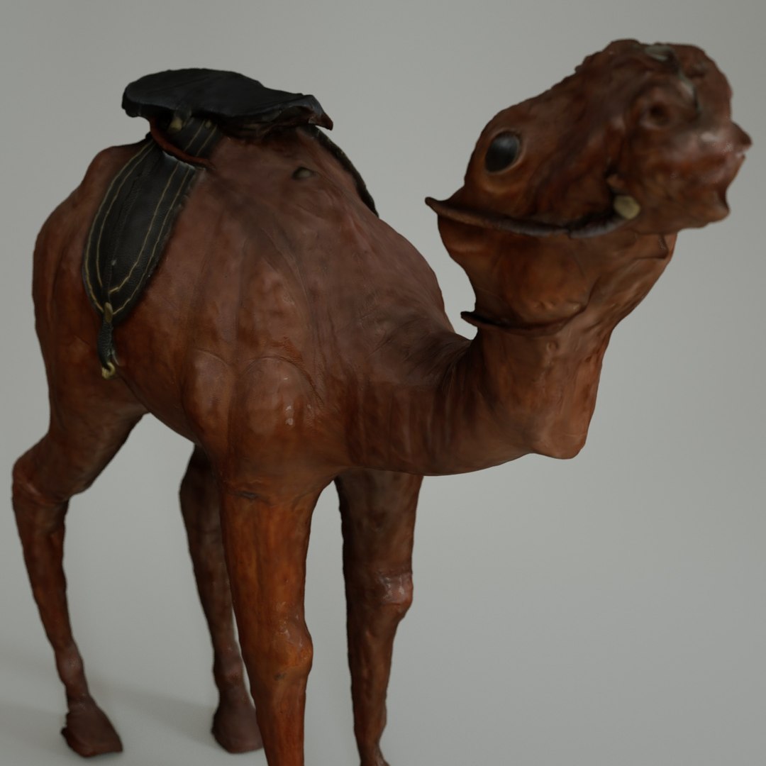Camel Scan 3d C4d