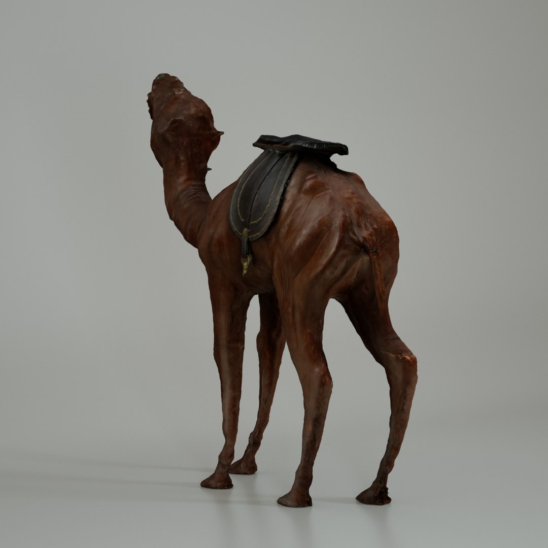 Camel Scan 3d C4d