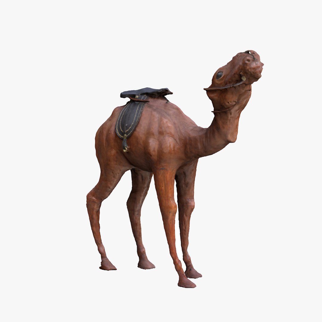 camel scan 3d c4d