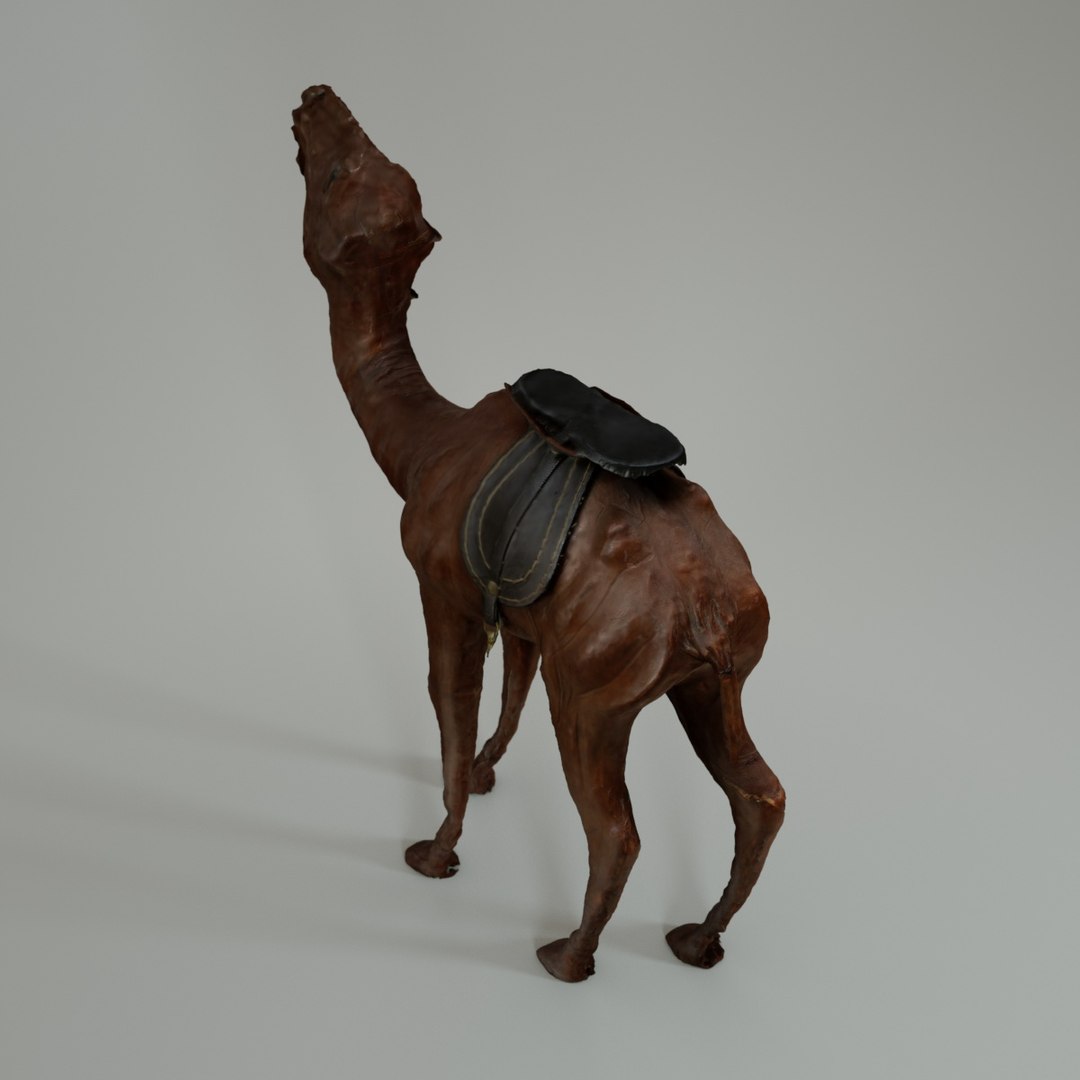 Camel Scan 3d C4d