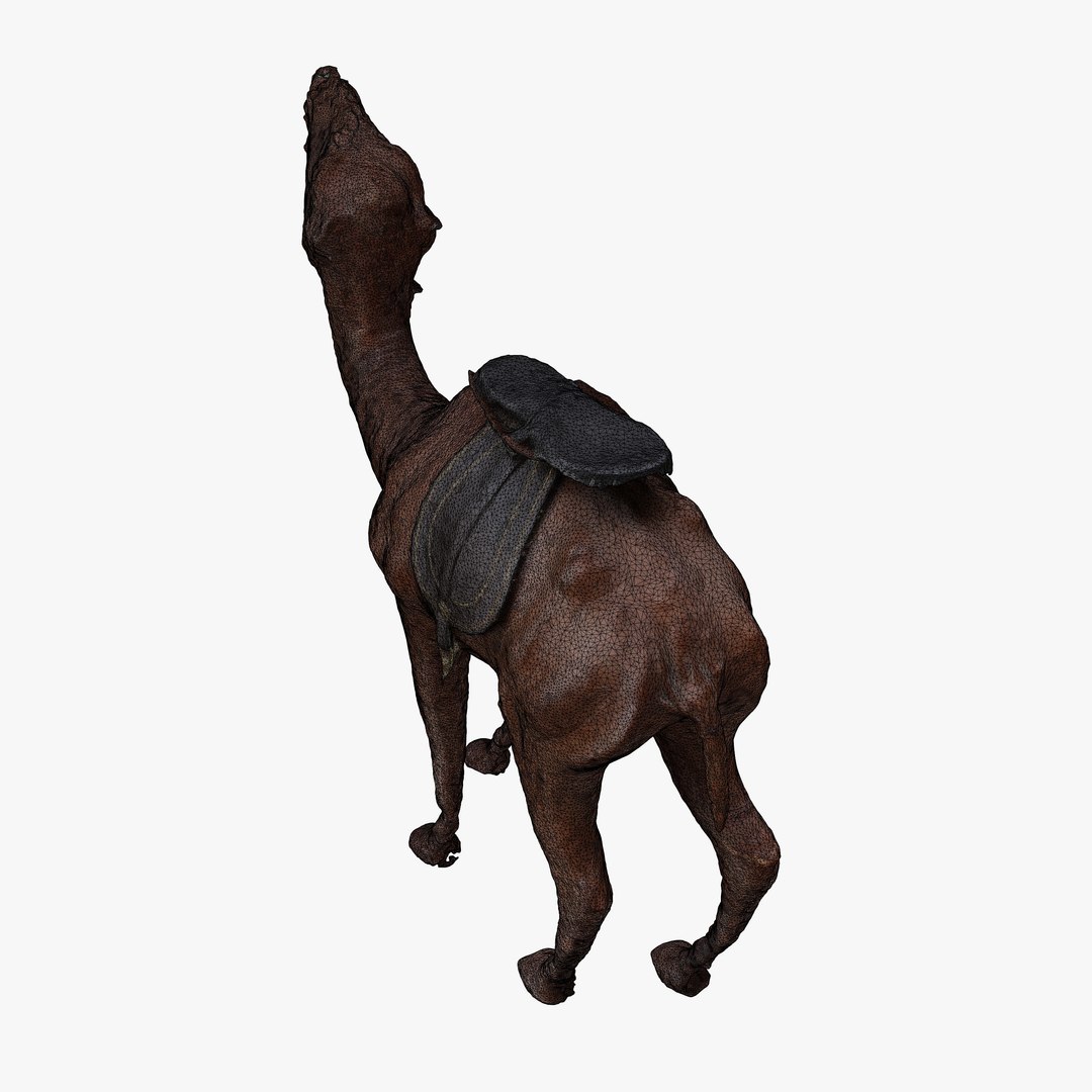 Camel Scan 3d C4d