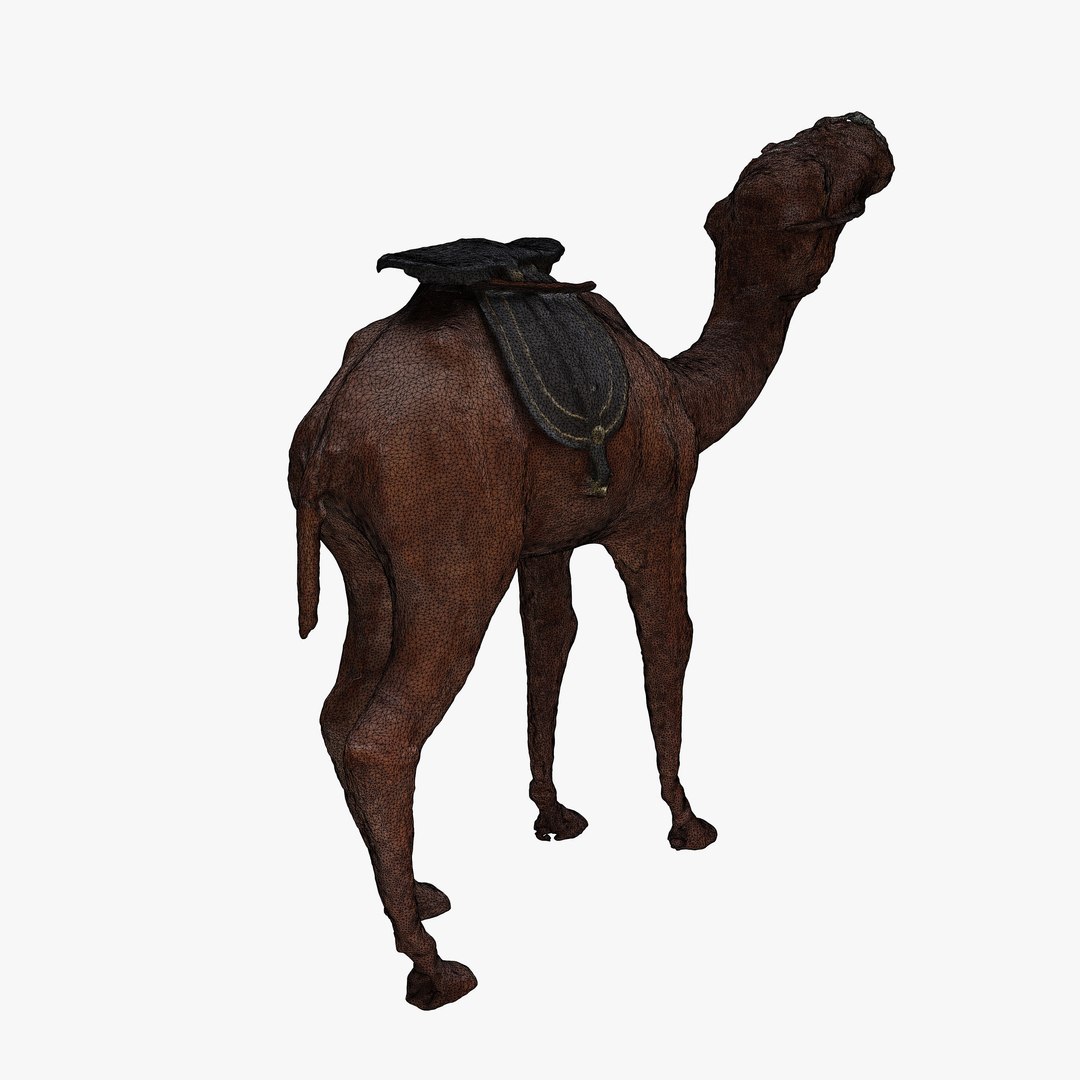 Camel Scan 3d C4d