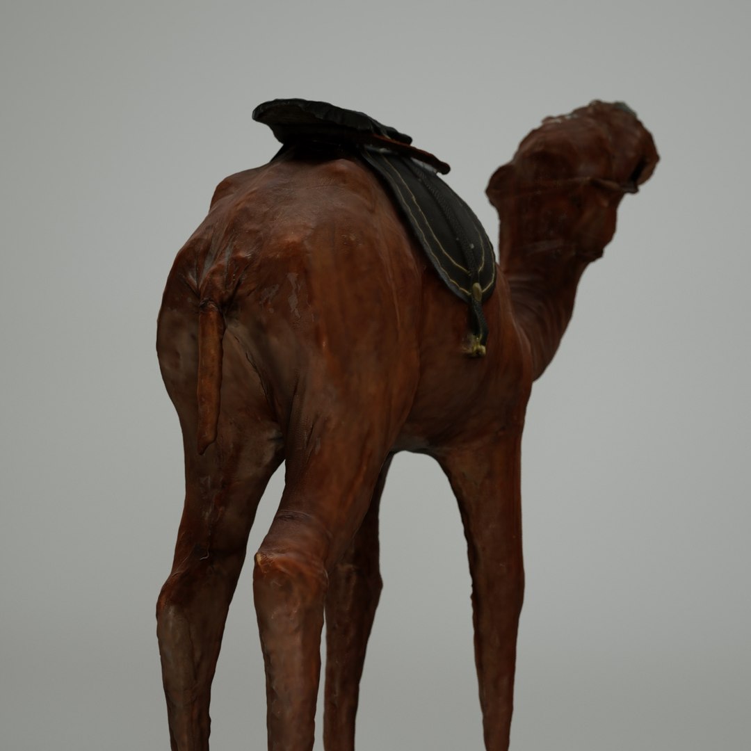 Camel Scan 3d C4d