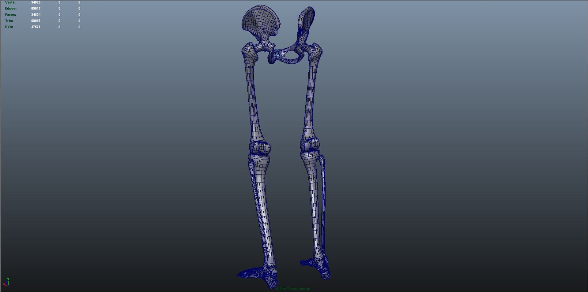 lower limbs 3d model