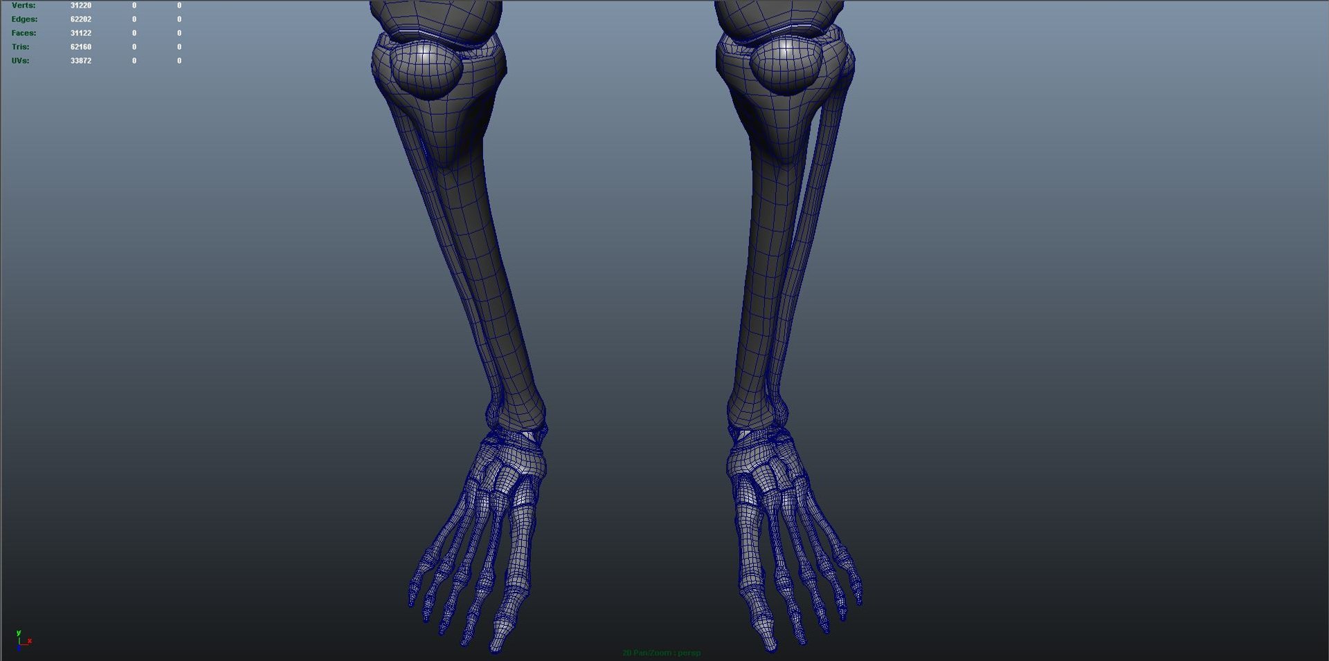 lower limbs 3d model
