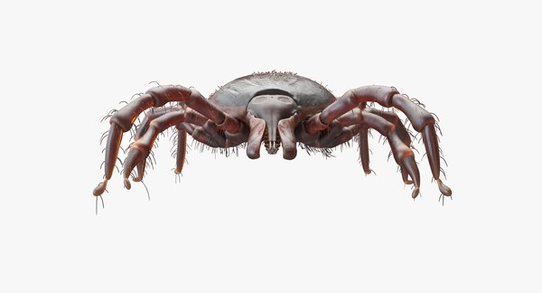 modelo 3d Garrapata mordida animada - TurboSquid 1392381