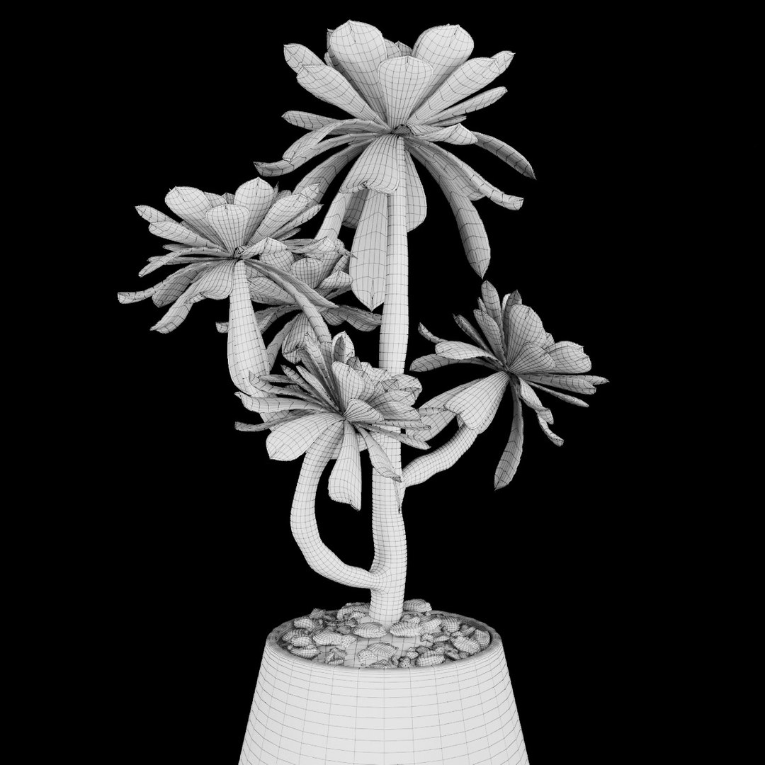 Plant 18 3D Model - TurboSquid 1443911