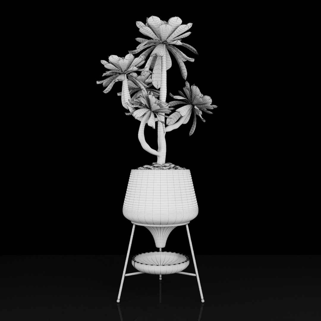 Plant 18 3D Model - TurboSquid 1443911
