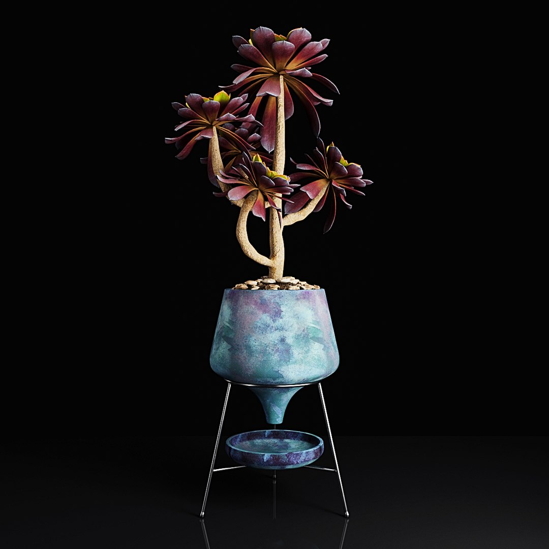 Plant 18 3D Model - TurboSquid 1443911