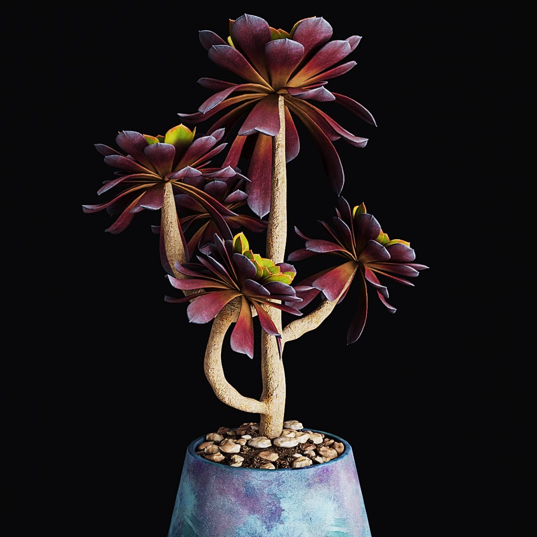 Plant 18 3D Model - TurboSquid 1443911