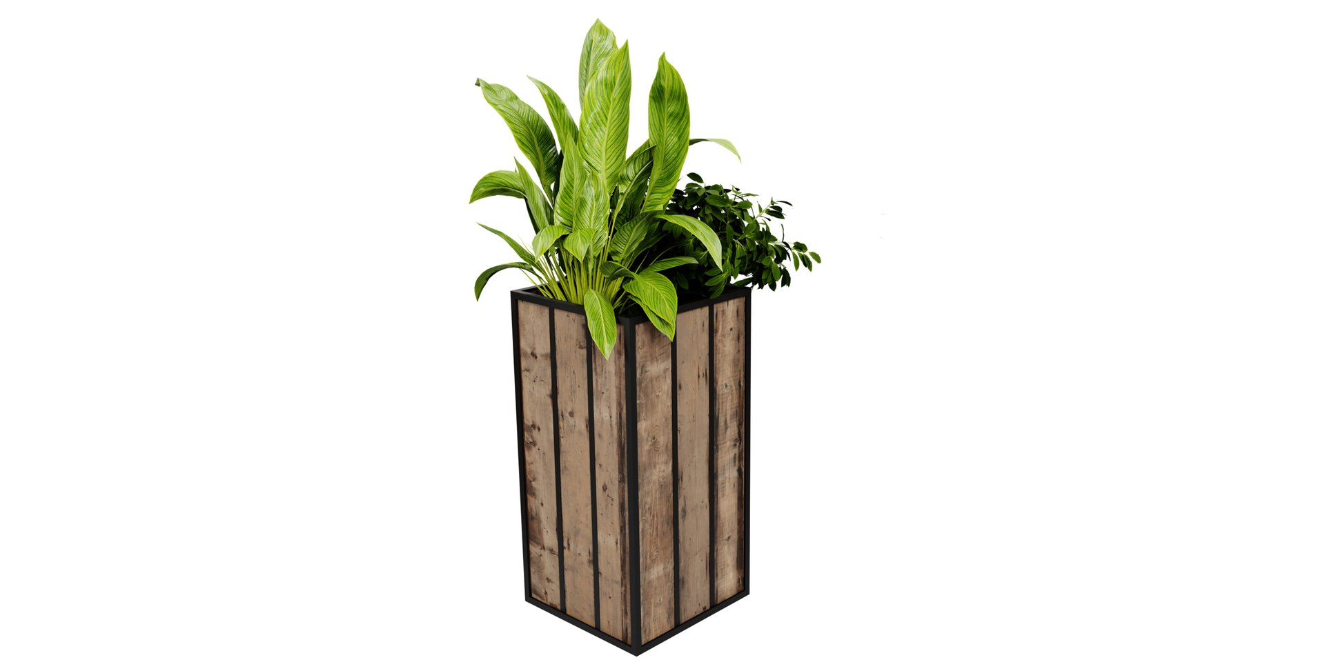 3D Collection Plant Vol 514 - Blender Model - TurboSquid 2110494