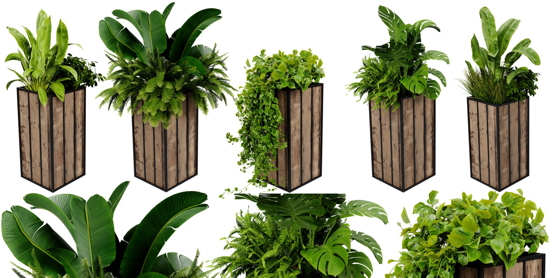 3D Collection Plant Vol 514 - Blender Model - TurboSquid 2110494