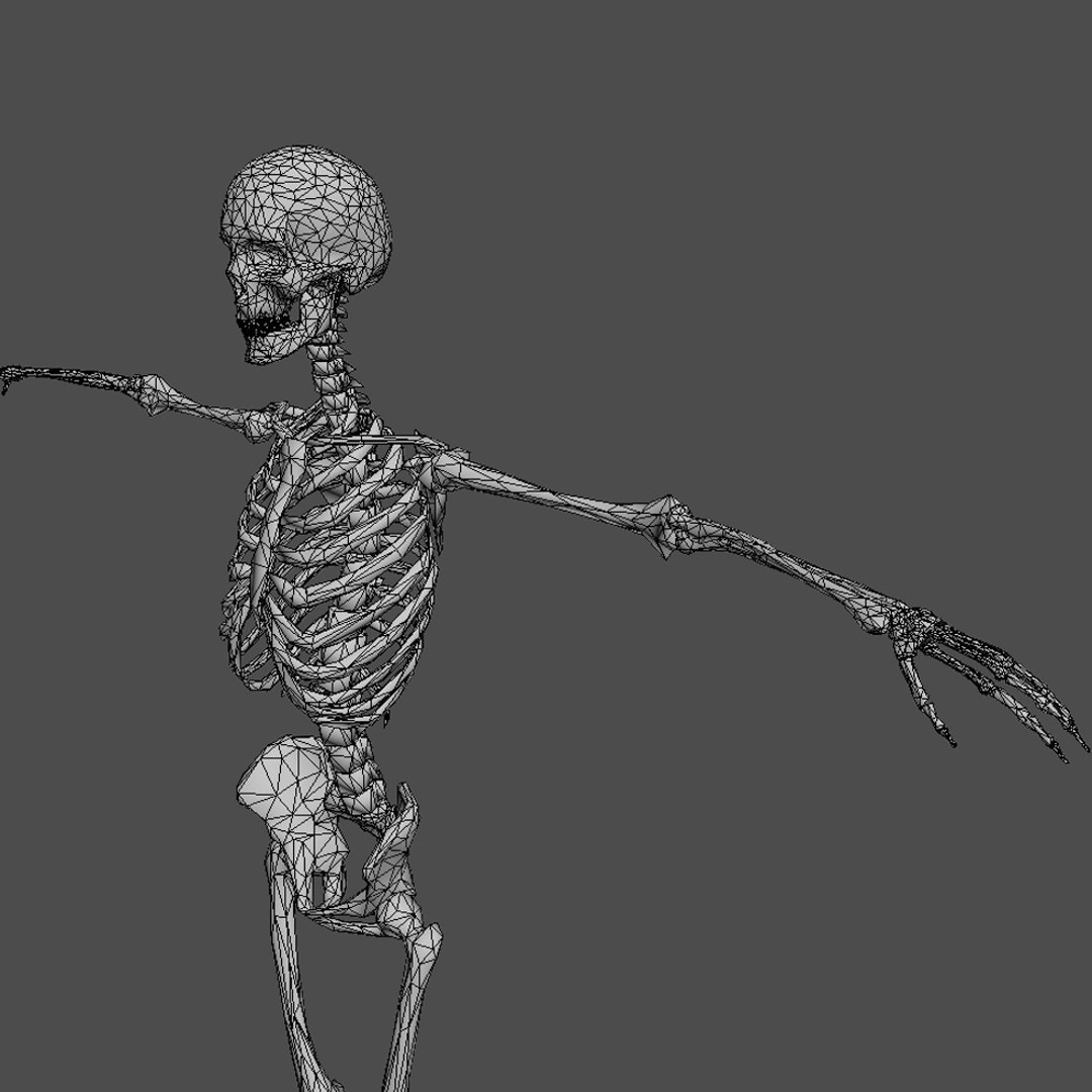Skeleton 3d 3ds
