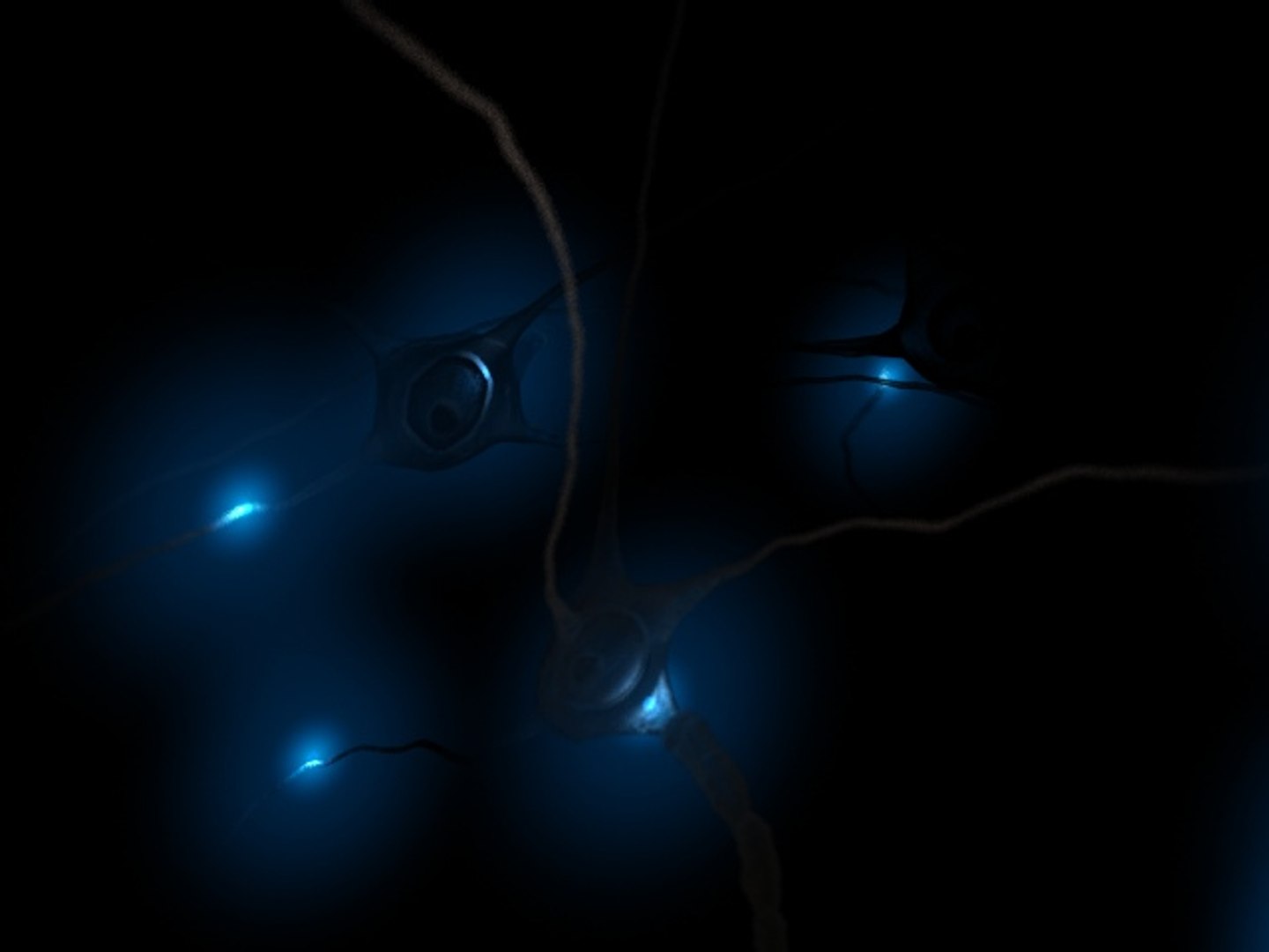 Neurons Brain 3d Model