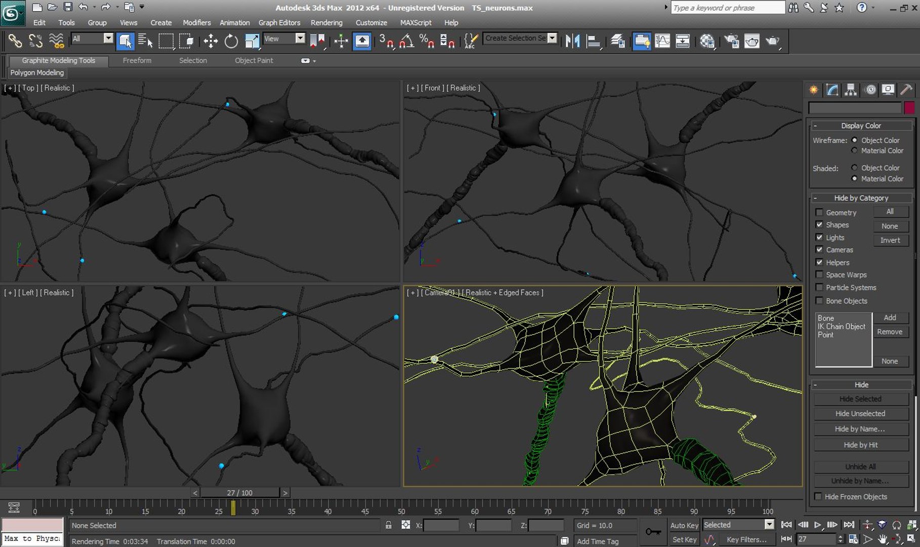 Neurons Brain 3d Model