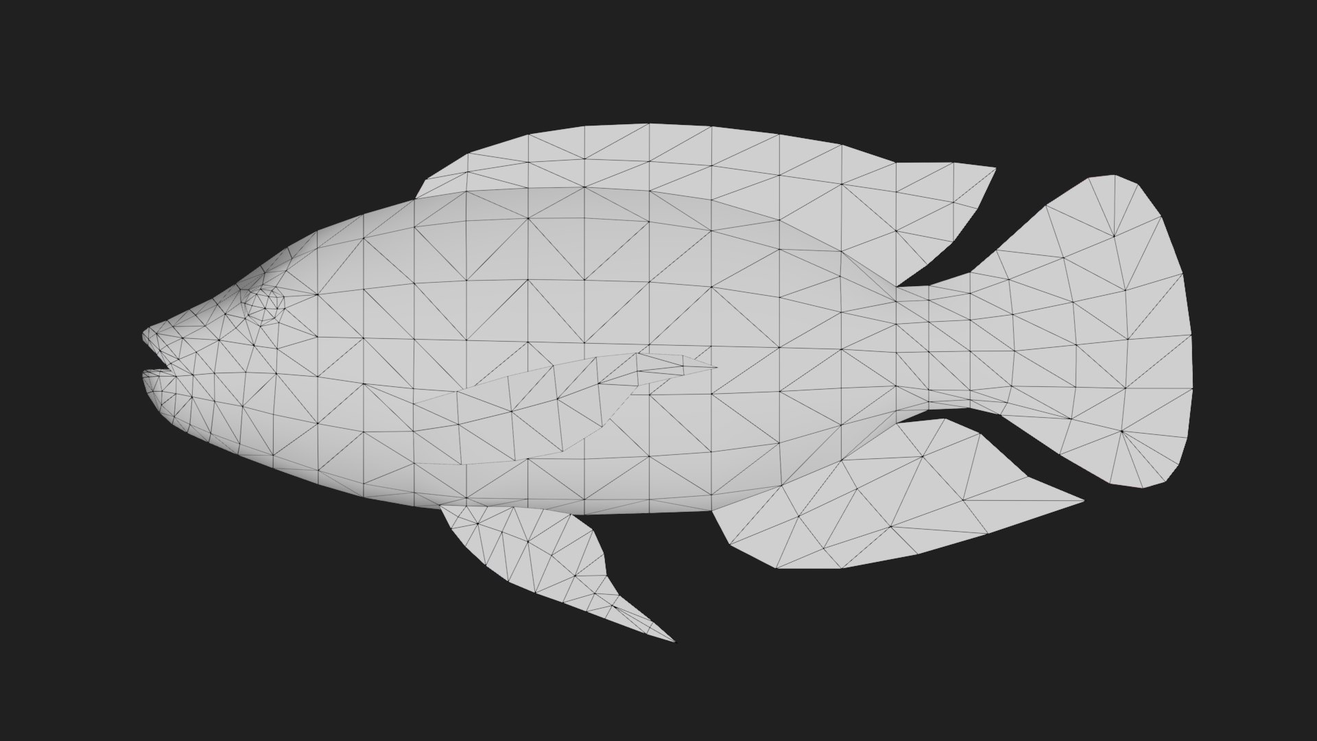 3D Cichlid Model - TurboSquid 2122581