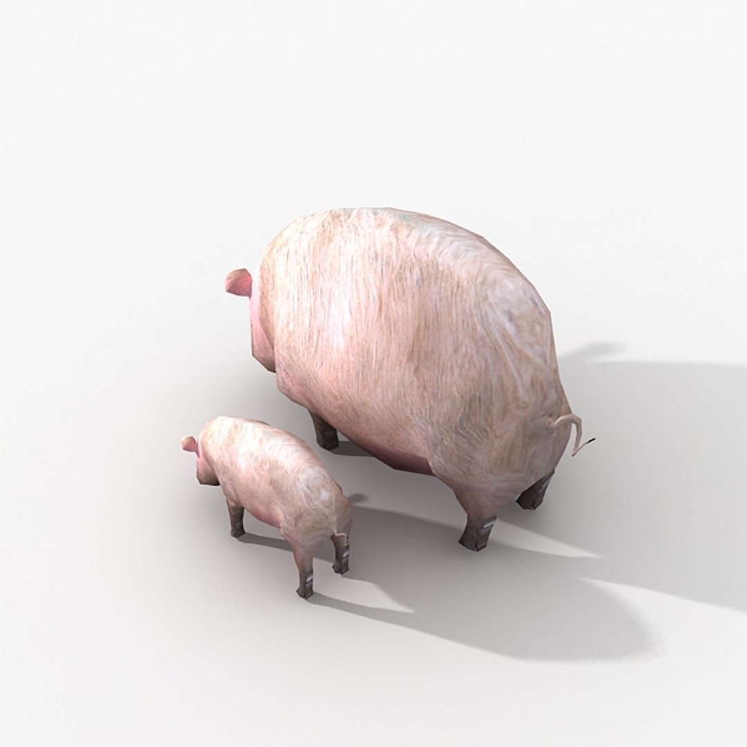 Pig Piglet 3d Model