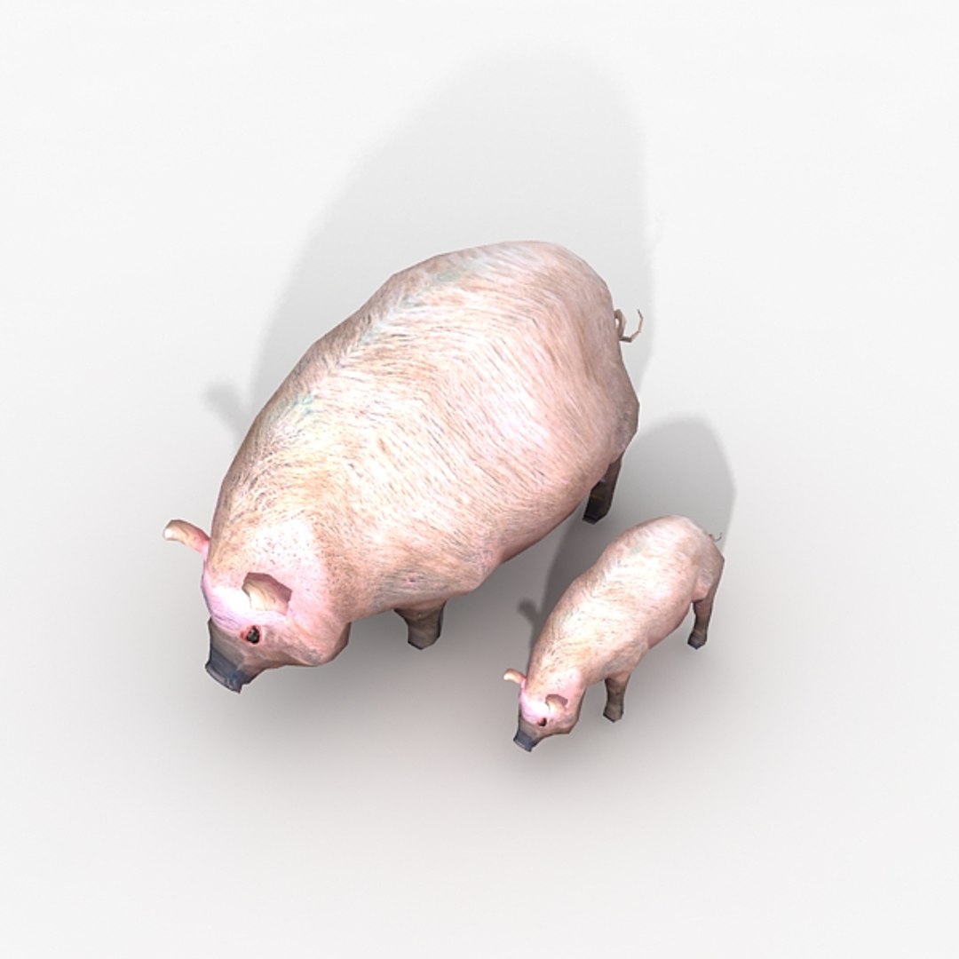 Pig Piglet 3d Model