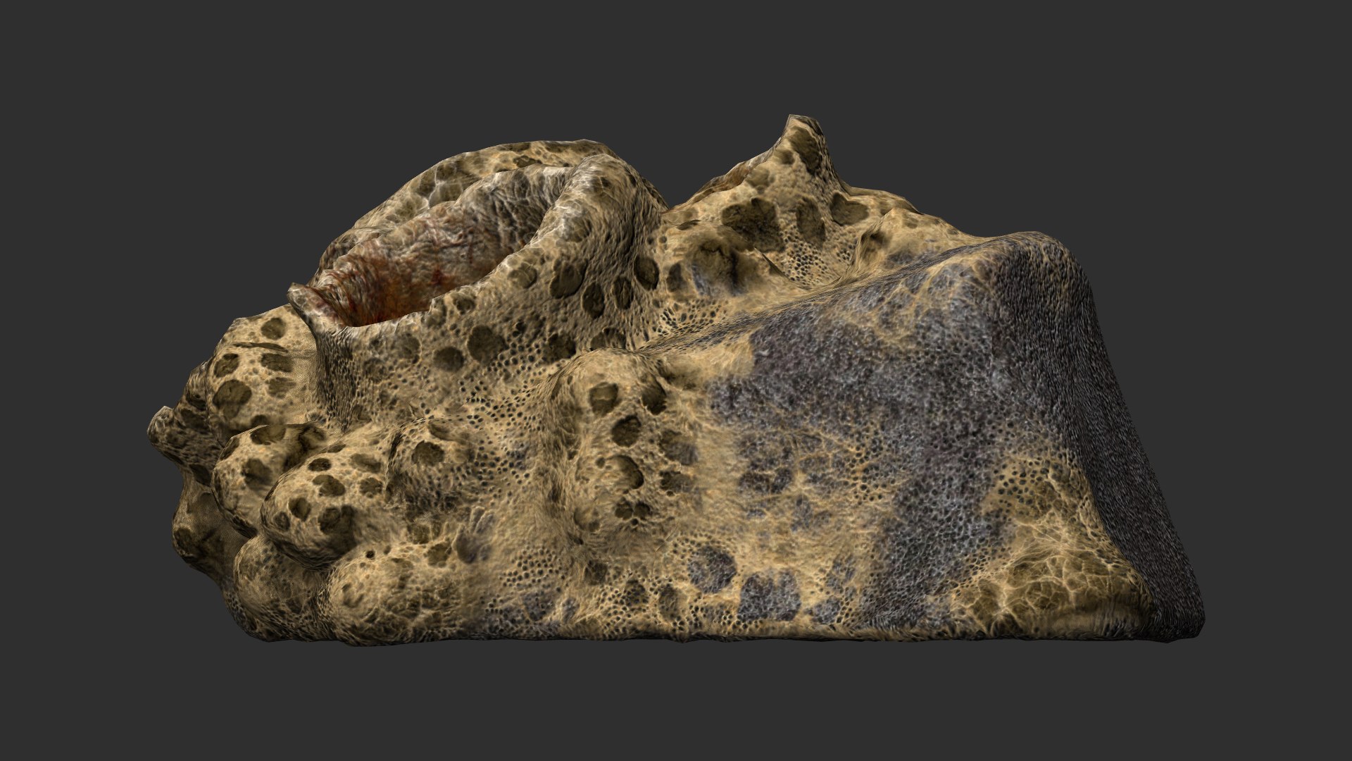 Free Spider Rock Model - TurboSquid 1915215