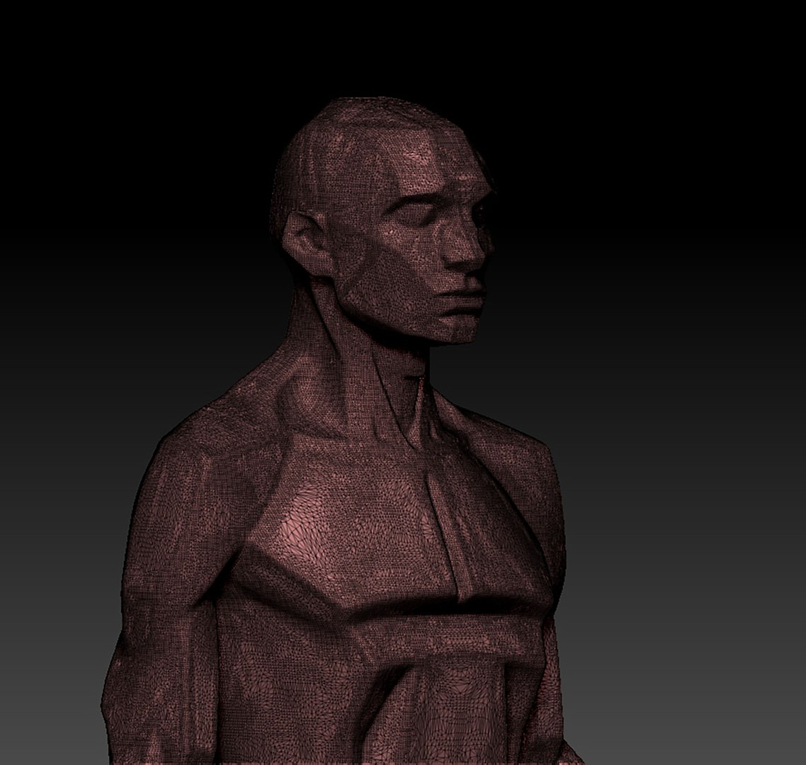 3D Planes Of The Body - TurboSquid 1803502