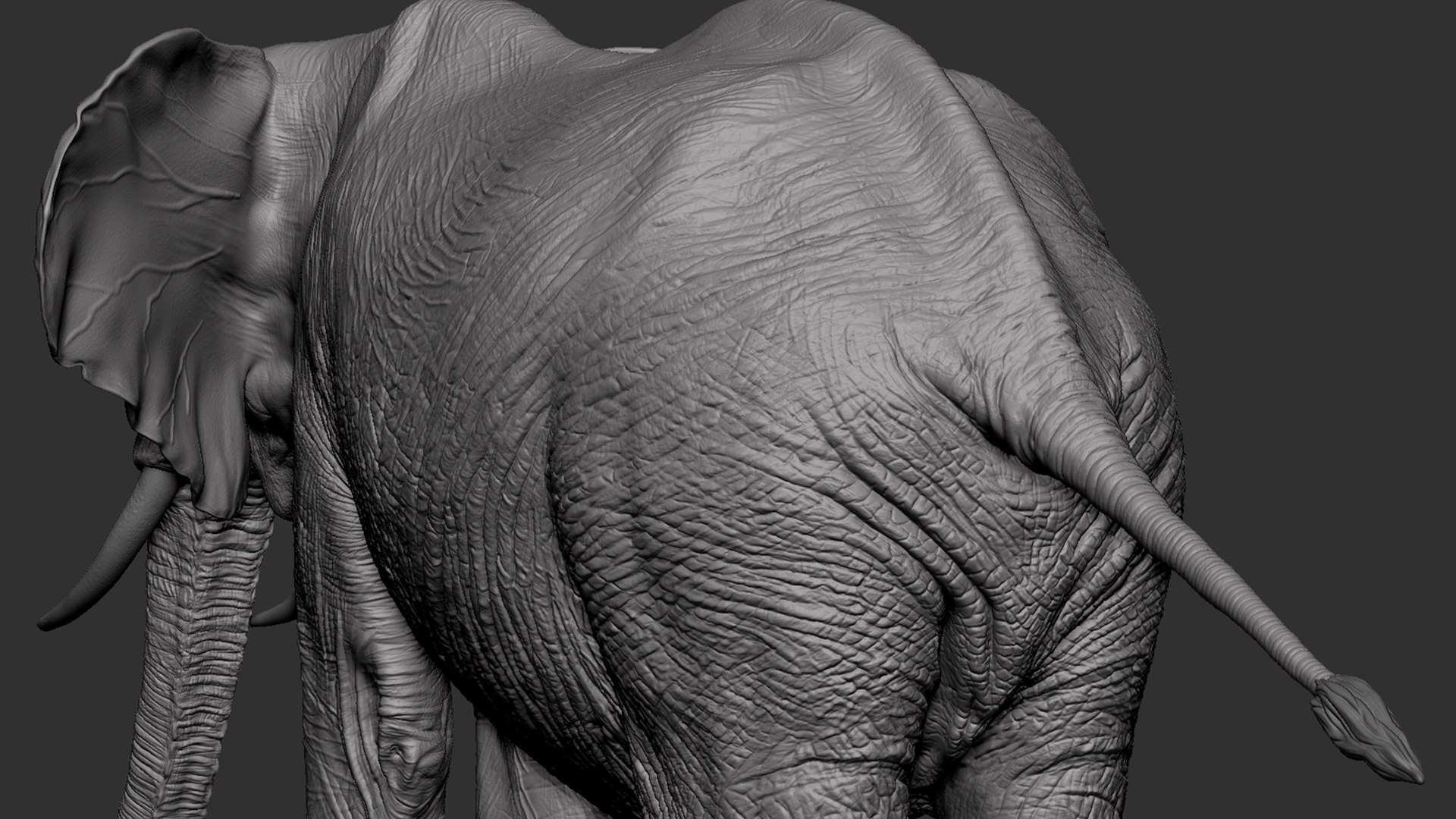 High Detail African Elephant Sculpt 3D Model - TurboSquid 1853144