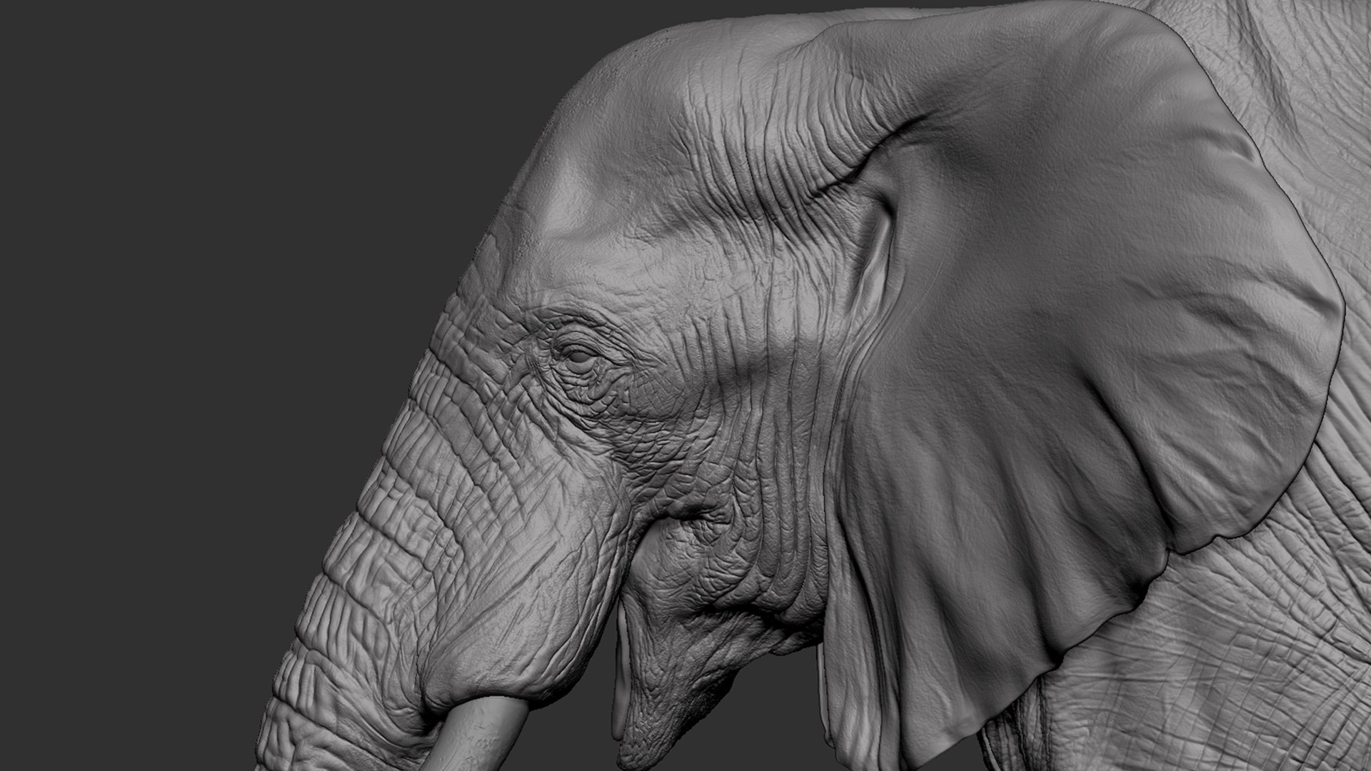 High Detail African Elephant Sculpt 3D Model - TurboSquid 1853144