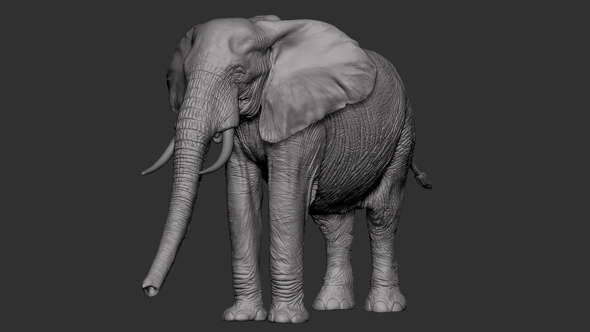 High Detail African Elephant Sculpt 3D Model - TurboSquid 1853144