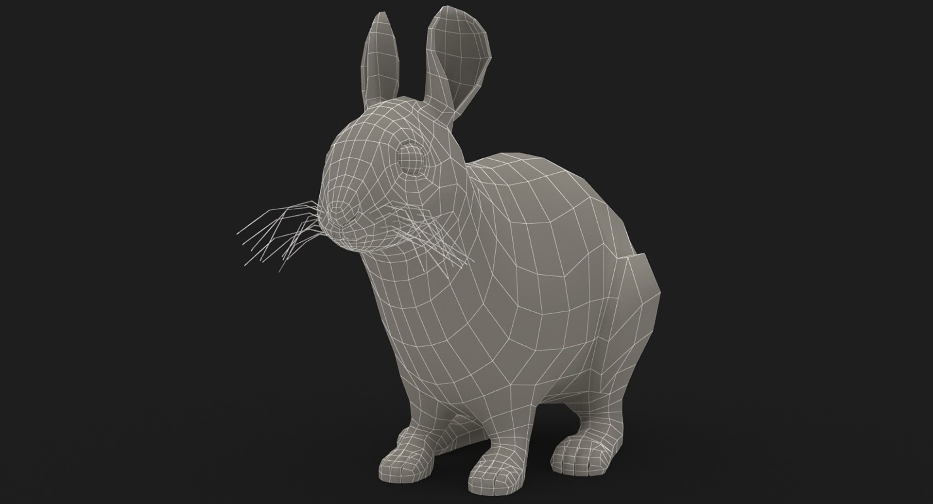 Realistic Rabbit 3D Model - TurboSquid 1307932