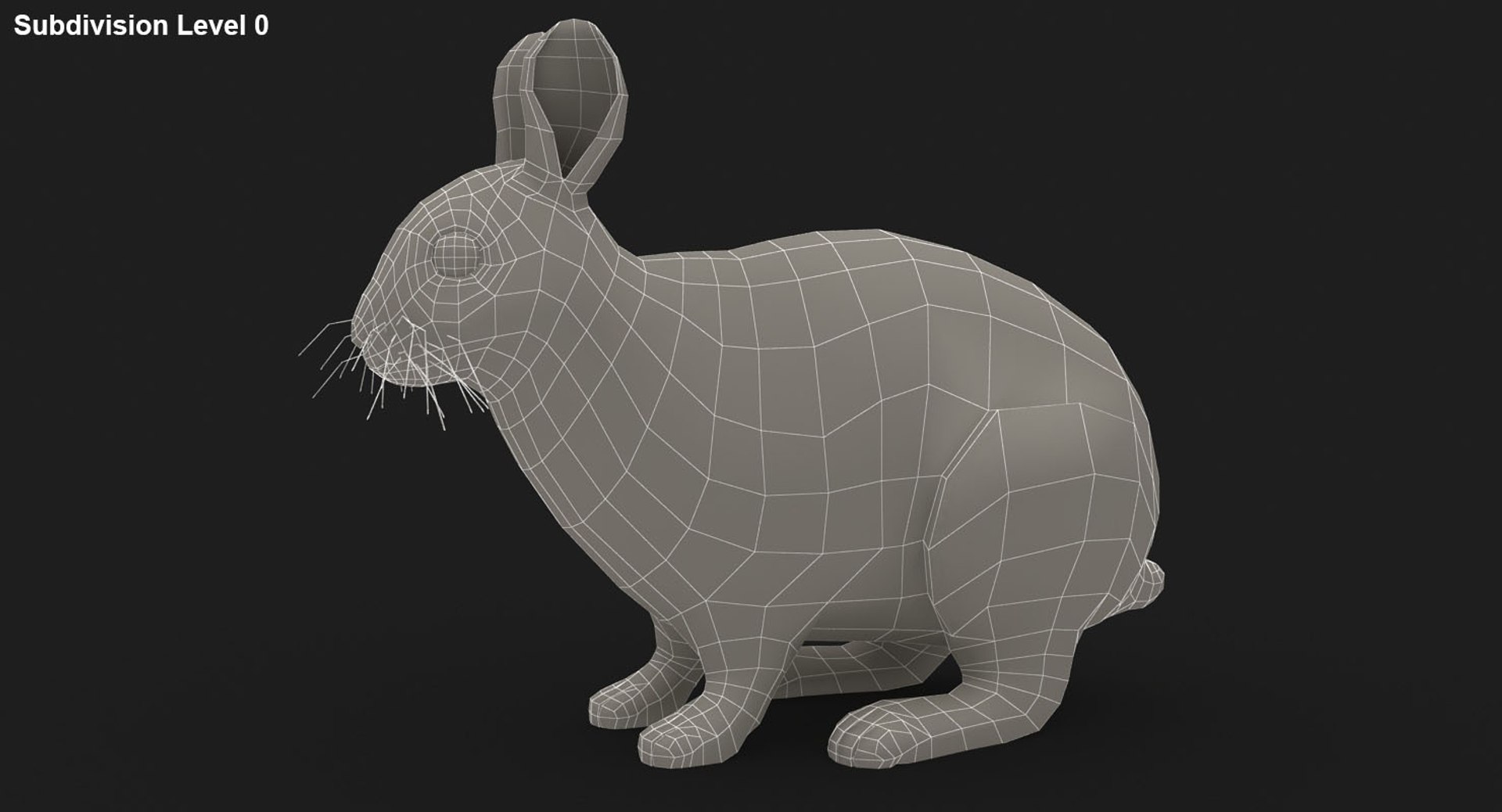 Realistic Rabbit 3D Model - TurboSquid 1307932