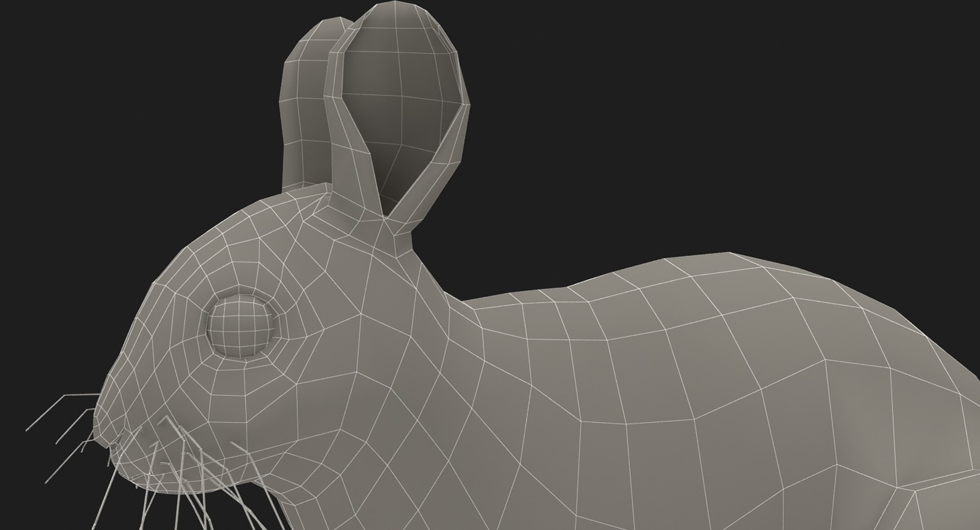 Realistic Rabbit 3D Model - TurboSquid 1307932